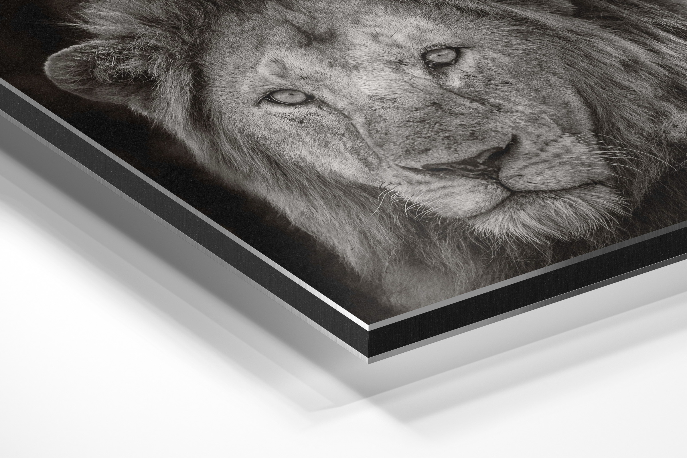 Prints | Pradeep Bansal Photography